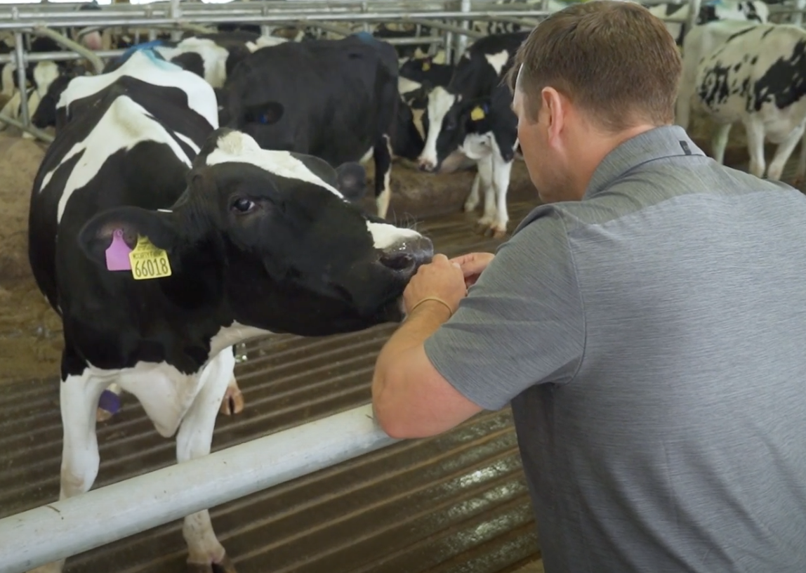 Dairy Farmer | HirePaths - Help Your Kansas Kid Explore Careers
